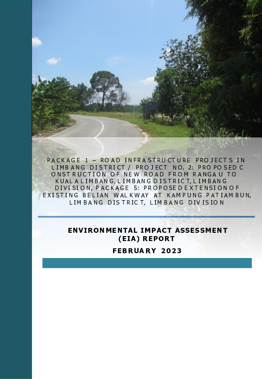 (PDF) Environmental Impact Assessment (EIA): Road Infrastructure ...
