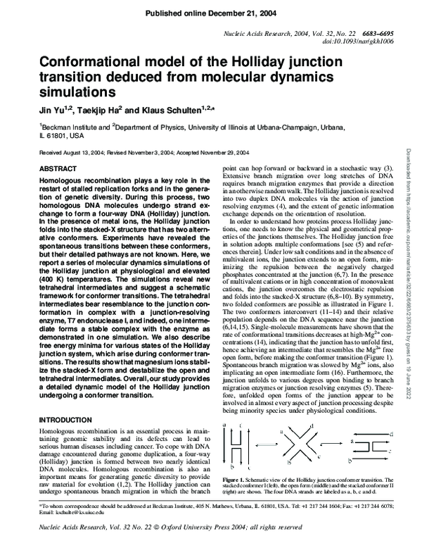 (PDF) Conformational model of the Holliday junction transition deduced ...