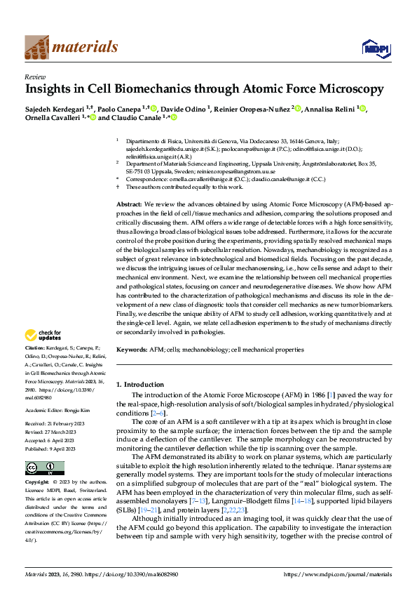 (PDF) Insights in Cell Biomechanics through Atomic Force Microscopy