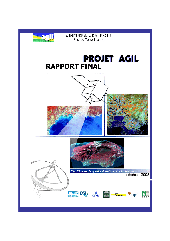 (PDF) Projet AGIL : rapport final