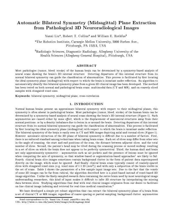 (PDF) Automatic bilateral symmetry (midsagittal) plane extraction from ...