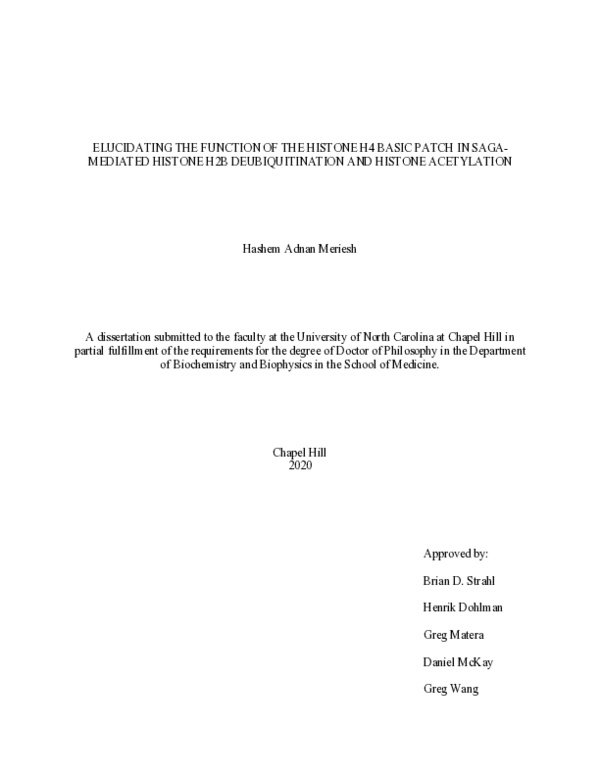 (PDF) Elucidating the function of the histone H4 basic patch in SAGA ...