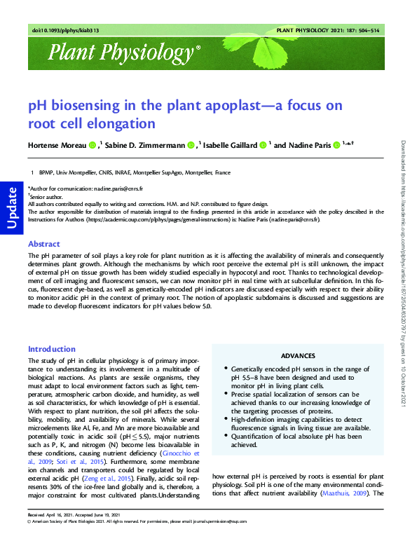(PDF) pH biosensing in the plant apoplast—a focus on root cell elongation