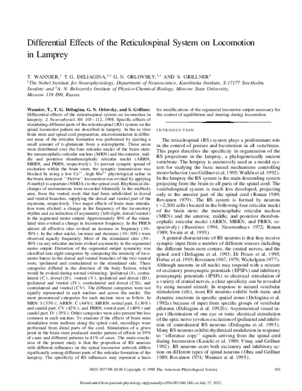 (PDF) Differential Effects of the Reticulospinal System on Locomotion ...