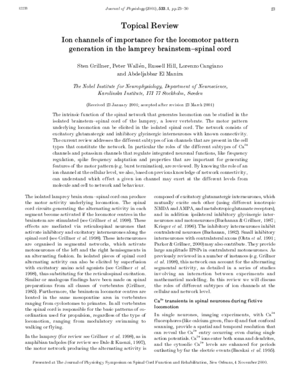 (PDF) Ion channels of importance for the locomotor pattern generation ...