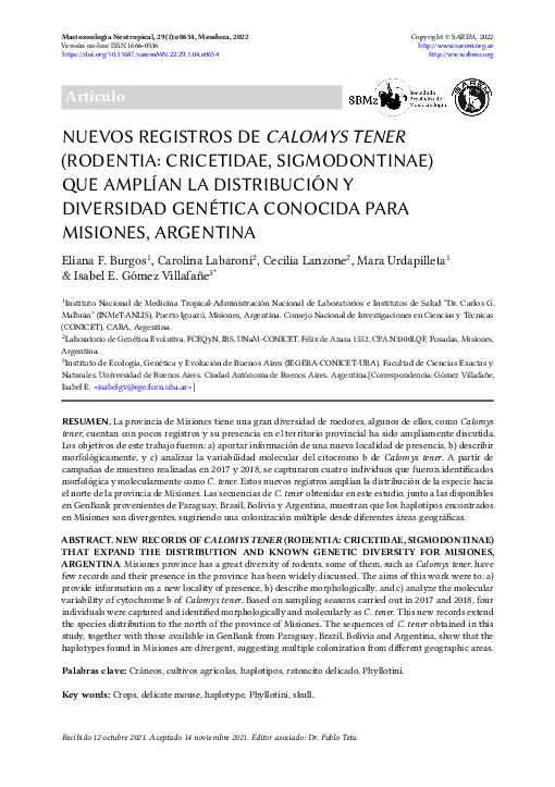 (PDF) Nuevos registros de Calomys tener (Rodentia, Cricetidae ...