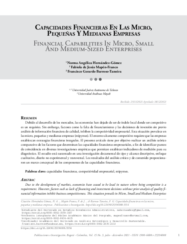 (PDF) Capacidades financieras en las micro, pequeñas y medianas empresas | FABIOLA DE JESÚS ...