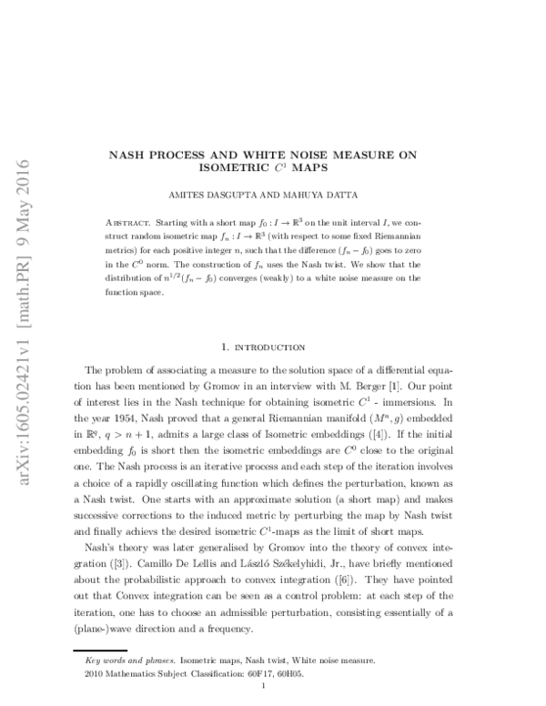 (PDF) Nash process and white noise measure on isometric $C^1$ maps