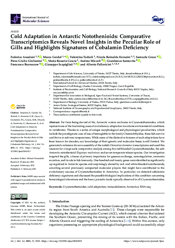 (PDF) Cold Adaptation in Antarctic Notothenioids: Comparative ...