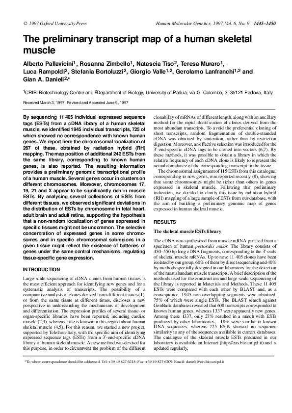 (PDF) The preliminary transcript map of a human skeletal muscle