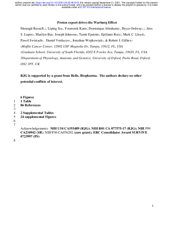 (PDF) Proton export drives the Warburg Effect