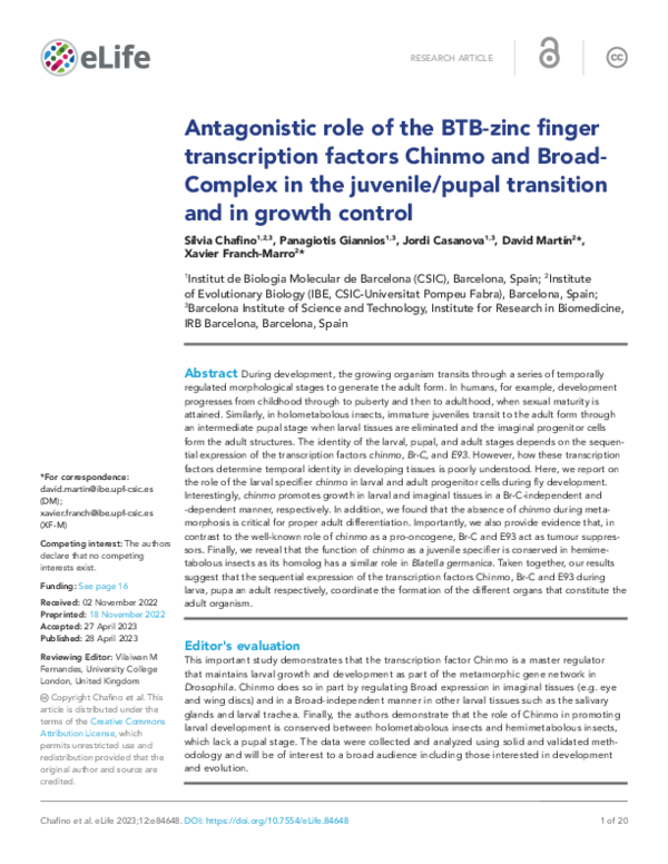(PDF) Antagonistic role of the BTB-zinc finger transcription factors ...