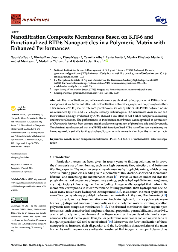 (PDF) Nanofiltration Composite Membranes Based on KIT-6 and ...