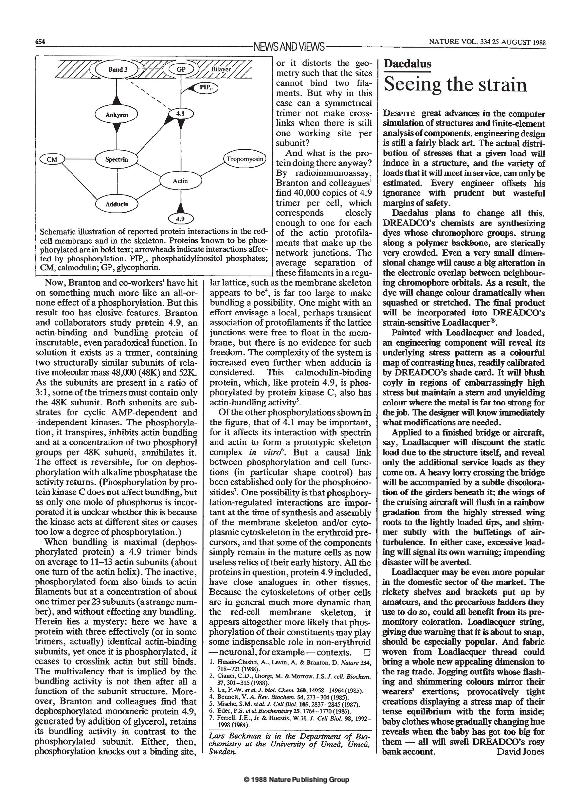(PDF) Seeing the strain