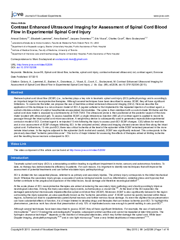 (PDF) Contrast Enhanced Ultrasound Imaging for Assessment of Spinal ...