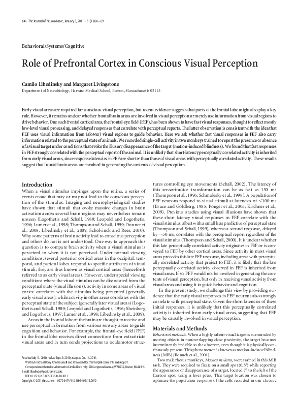 (PDF) Role of Prefrontal Cortex in Conscious Visual Perception