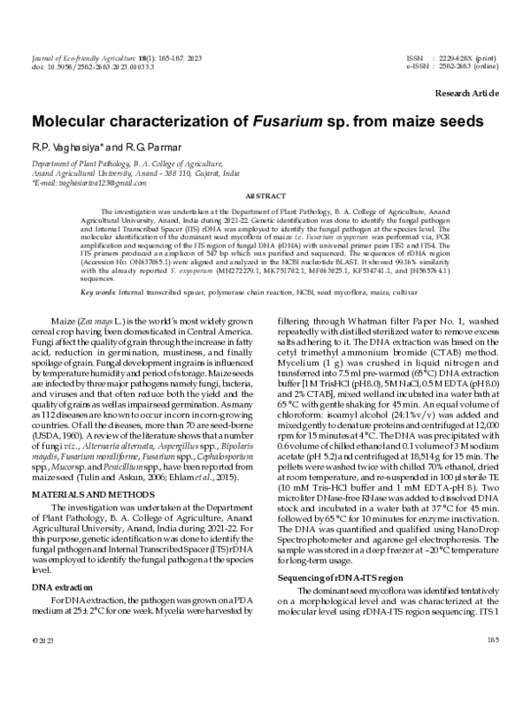 Pdf Molecular Characterization Of Fusarium Sp From Maize Seeds