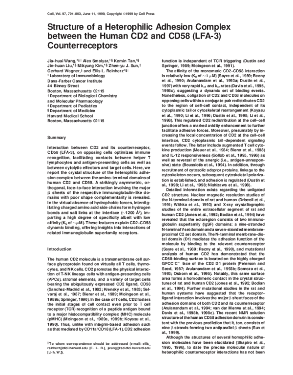 (PDF) Structure of a Heterophilic Adhesion Complex between the Human CD2 and CD58 (LFA-3 ...