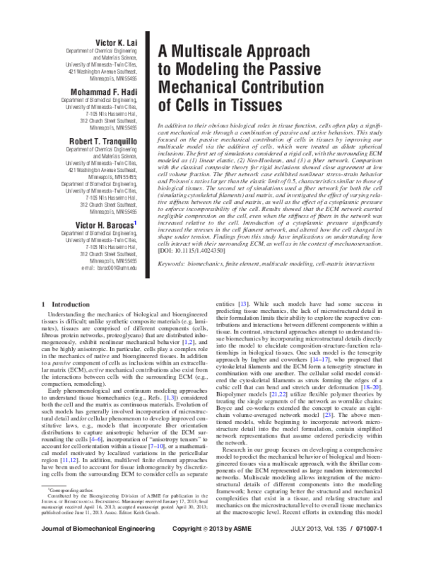 (PDF) A Multiscale Approach to Modeling the Passive Mechanical Contribution of Cells in Tissues