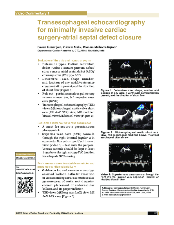 Pdf Transesophageal Echocardiography For Minimally Invasive Cardiac