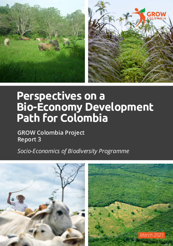 (PDF) Perspectives on a Bio-Economy Development Path for Colombia ...