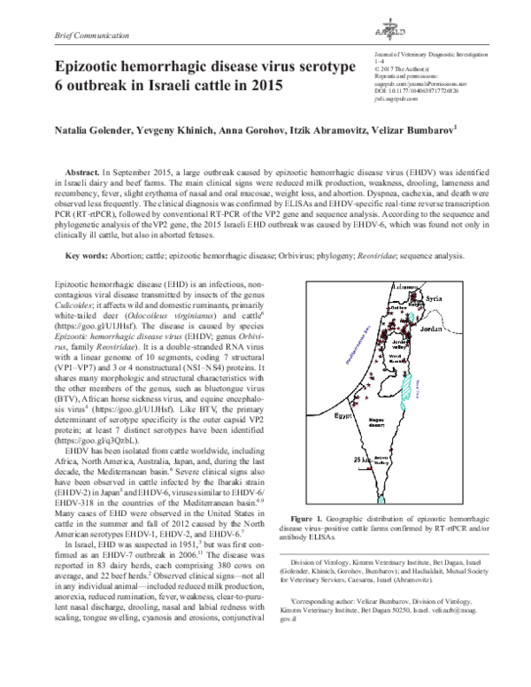 (PDF) Epizootic hemorrhagic disease virus serotype 6 experimentation on ...