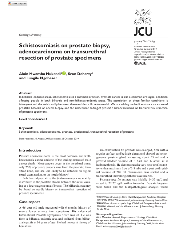 (PDF) Schistosomiasis on prostate biopsy, adenocarcinoma on ...