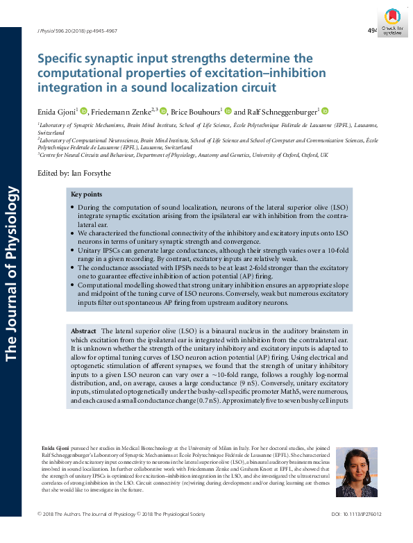 Specific synaptic input strengths determine the computational properties of excitation ...