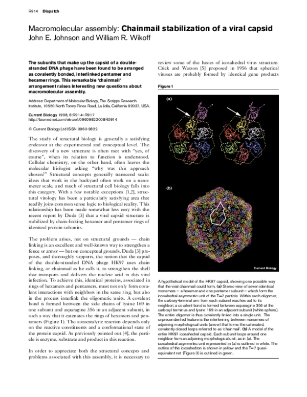 (PDF) Macromolecular assembly: Chainmail stabilization of a viral capsid