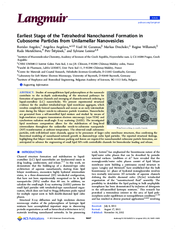 (PDF) Earliest Stage of the Tetrahedral Nanochannel Formation in ...