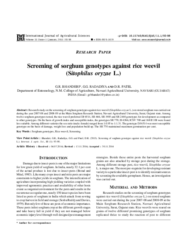 (PDF) Screening of sorghum genotypes against rice weevil (Sitophilus ...