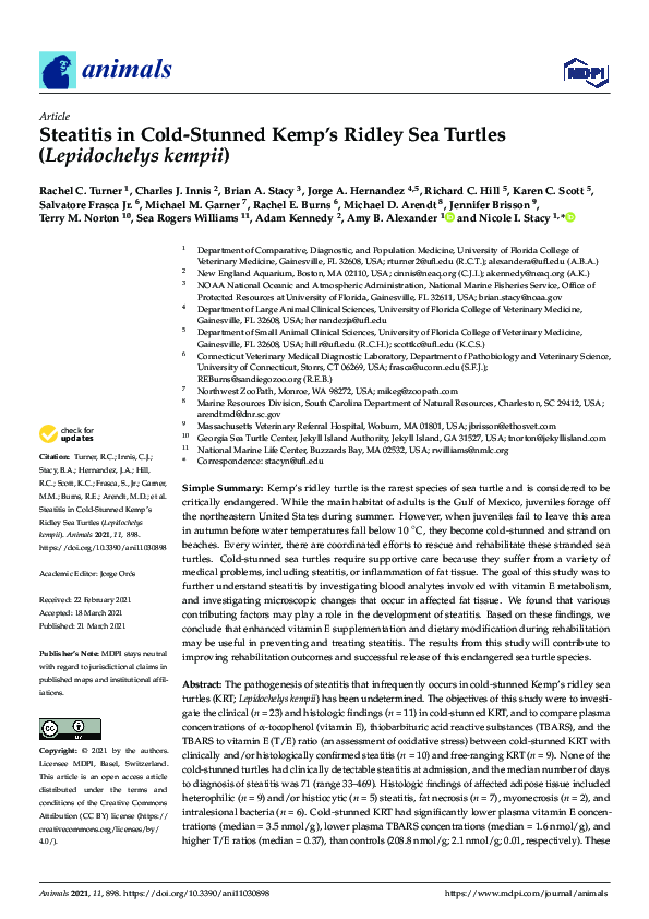 (PDF) Steatitis in Cold-Stunned Kemp’s Ridley Sea Turtles (Lepidochelys ...