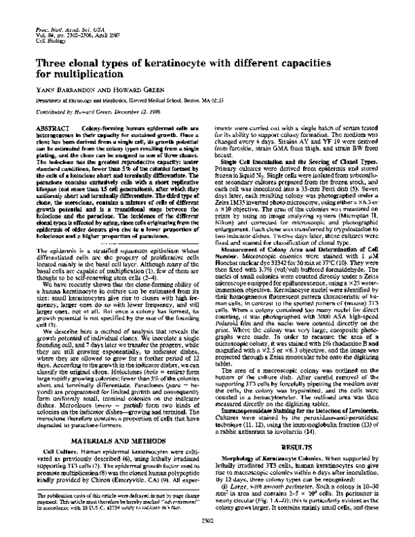 (PDF) Three clonal types of keratinocyte with different capacities for ...