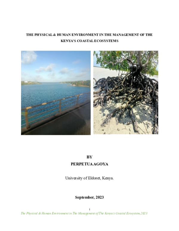 (PDF) THE PHYSICAL & HUMAN ENVIRONMENT IN THE MANAGEMENT OF THE KENYA’S ...