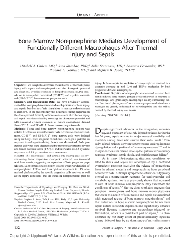 (PDF) Bone Marrow Norepinephrine Mediates Development of Functionally ...