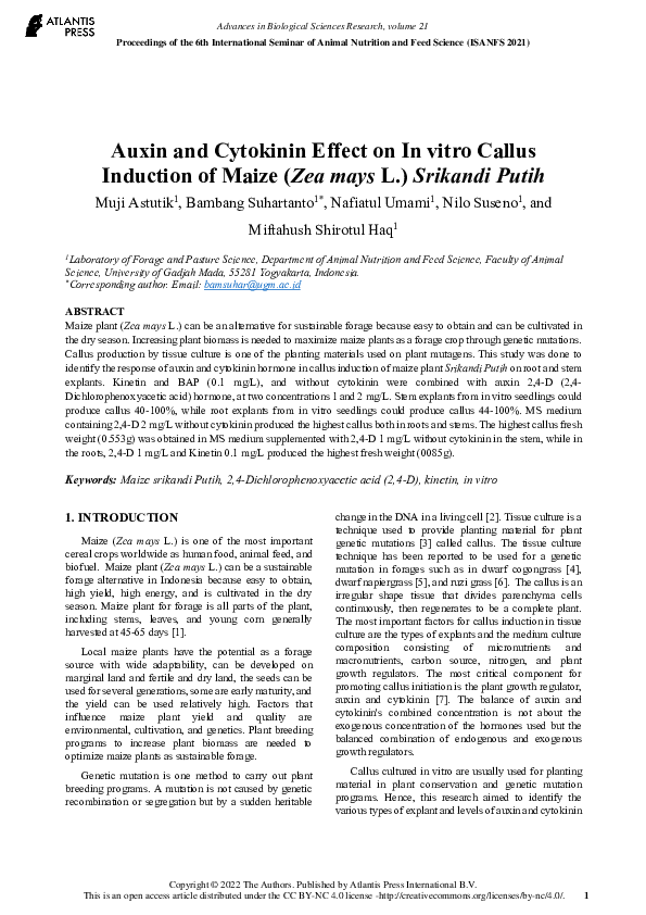 (PDF) Auxin and Cytokinin Effect on In vitro Callus Induction of Maize ...