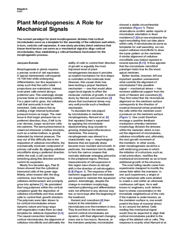 (PDF) Plant Morphogenesis: A Role for Mechanical Signals | Jacques Dumais - Academia.edu