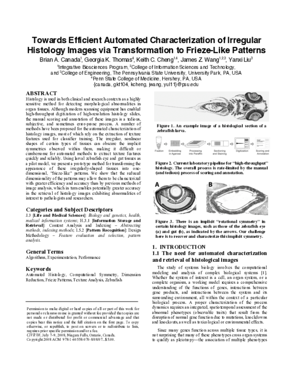 (PDF) Towards efficient automated characterization of irregular ...