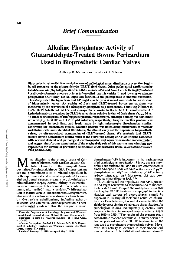 (PDF) Alkaline phosphatase activity of glutaraldehyde-treated bovine ...