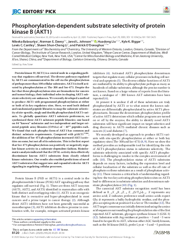 (PDF) Phosphorylation-dependent substrate selectivity of protein kinase ...