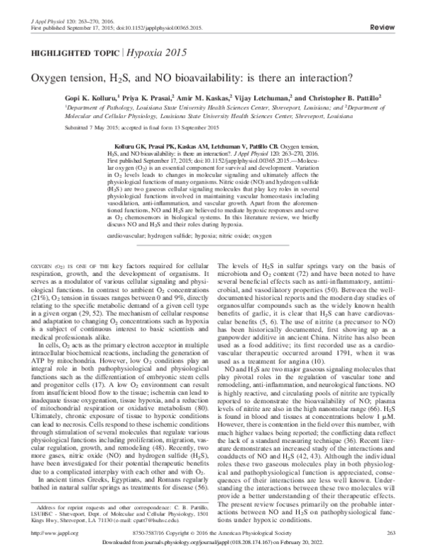 (PDF) Oxygen tension, H2S, and NO bioavailability: is there an interaction?
