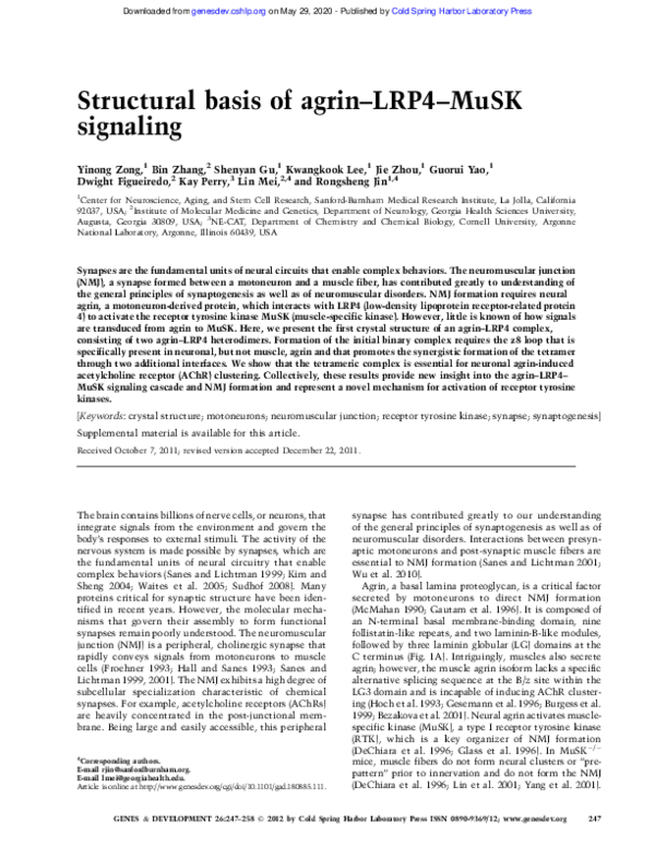 (PDF) Structural basis of agrin–LRP4–MuSK signaling