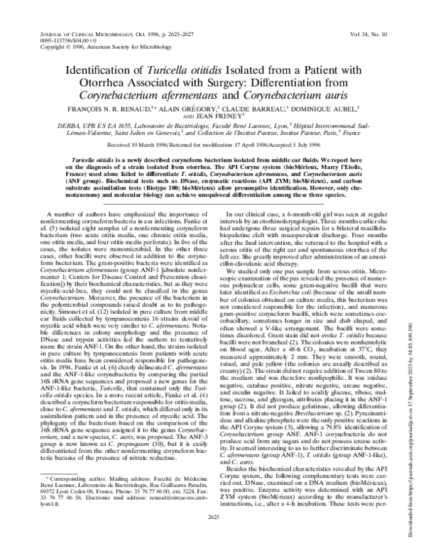 (PDF) Identification of Turicella otitidis isolated from a patient with ...