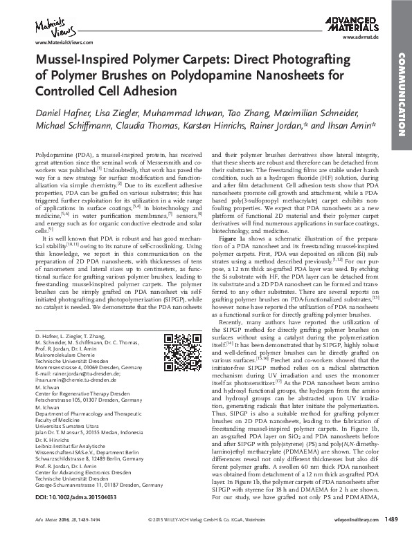 (PDF) Mussel-Inspired Polymer Carpets: Direct Photografting of Polymer ...