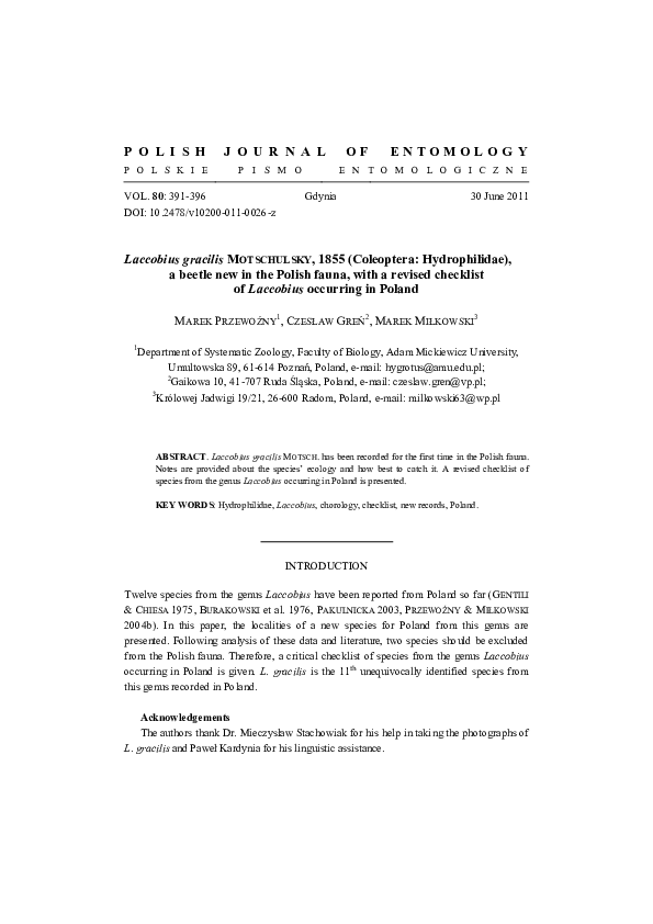 (PDF) Laccobius gracilis Motschulsky, 1855 (Coleoptera: Hydrophilidae ...