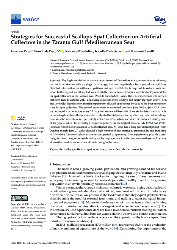 (PDF) Strategies for Successful Scallops Spat Collection on Artificial ...