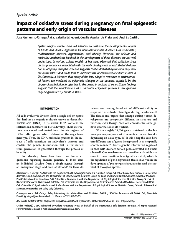 (PDF) Impact of oxidative stress during pregnancy on fetal epigenetic ...