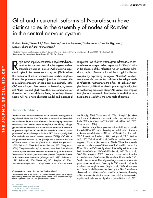 (PDF) Glial and neuronal isoforms of Neurofascin have distinct roles in the assembly of nodes of ...
