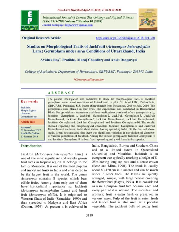 (PDF) Studies on Morphological Traits of Jackfruit (Artocarpus ...