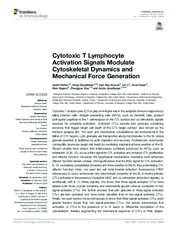 (PDF) Cytotoxic T Lymphocyte Activation Signals Modulate Cytoskeletal ...